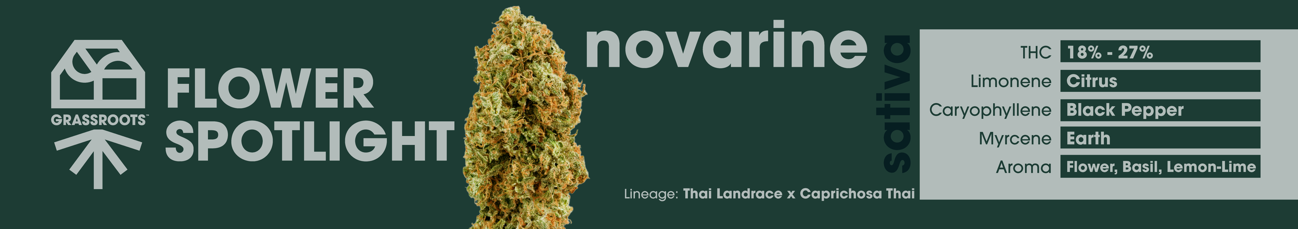Welcome to Curaleaf Lakeland - buy cannabis online | Lakeland
