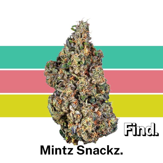 Mintz Snackz Whole Flower 3.5g | Curaleaf Palm Bay, FL | Medical Cannabis