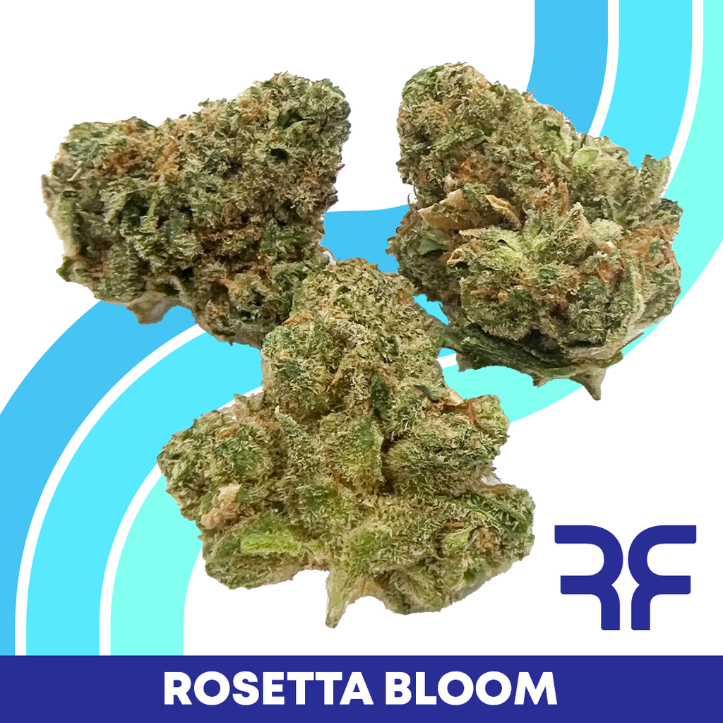 Rosetta Bloom Smalls 7g | Curaleaf Jensen Beach, FL | Medical Cannabis
