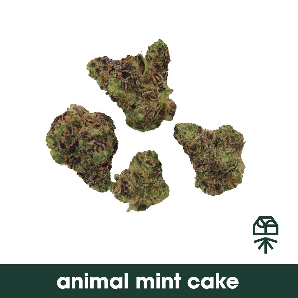 Animal Mint Cake 3.5g Smalls | Curaleaf Jacksonville 103rd, FL ...