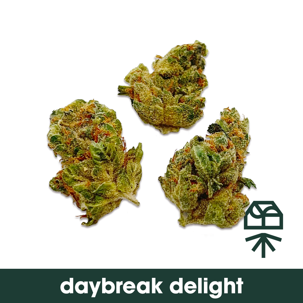 Daybreak Delight Smalls 3.5g | Curaleaf Bradenton Hwy 64 East, FL ...