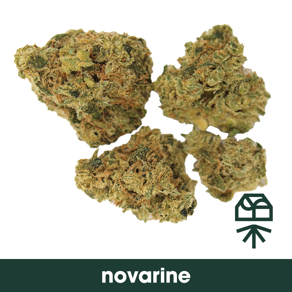 Buy Novarine 3.5g Smalls online - Curaleaf Ocala Maricamp | Ocala | Florida
