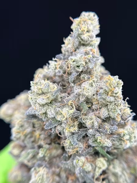 Super Lemon Mac Whole Flower 28g | Curaleaf Bellmawr, NJ | Medical and ...