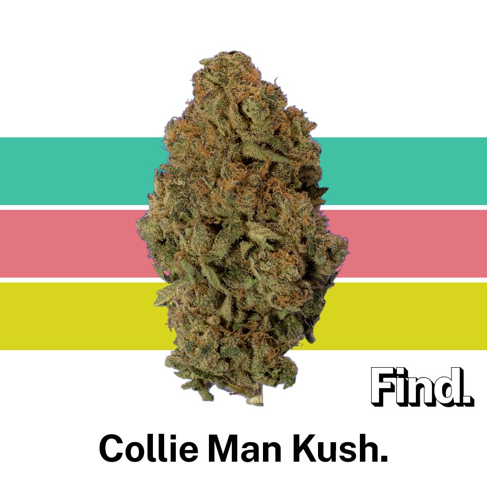 Collie Man Kush 3.5g Whole Flower | Curaleaf Lutz, FL | Medical Cannabis