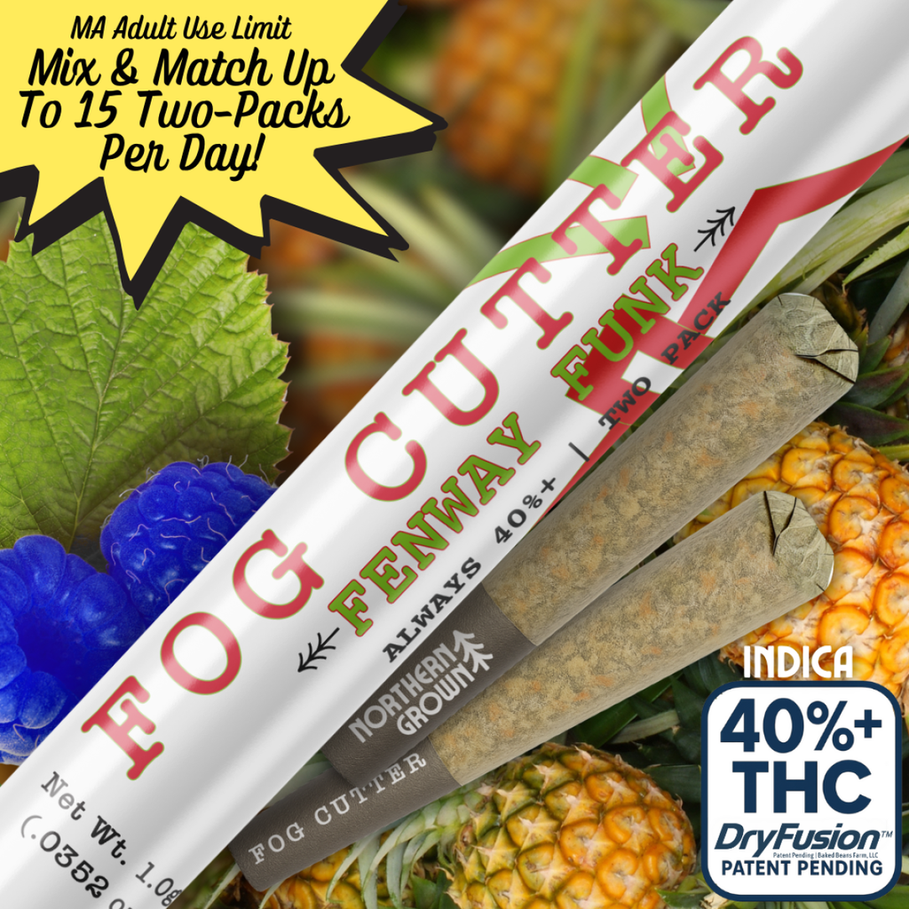 Fenway Funk 0.5g ea | 2-Pack Infused Pre-Roll Pack | Curaleaf Hanover ...