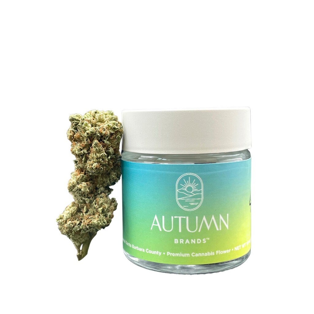 Buy Mango Haze 3.5g | 3.5g | Autumn Brands | Cannabis San Francisco