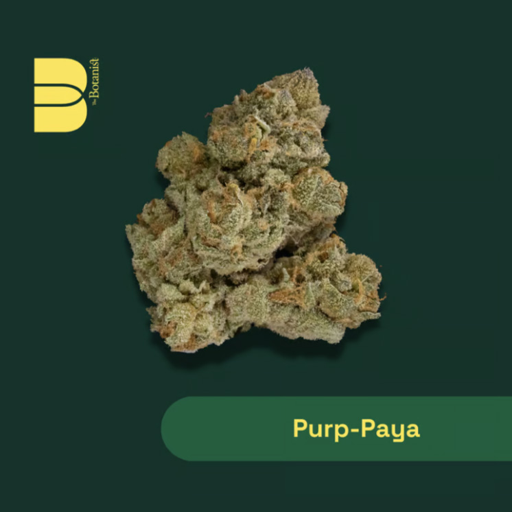Buy Purp Paya 3.5g Buds | 3.5g | The Botanist | Cannabis Phillipsburg