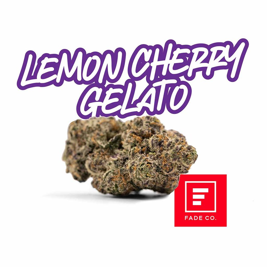 Buy Lemon Cherry Gelato 3.5g Buds | 3.5g | Fade Co. | Cannabis Nottingham