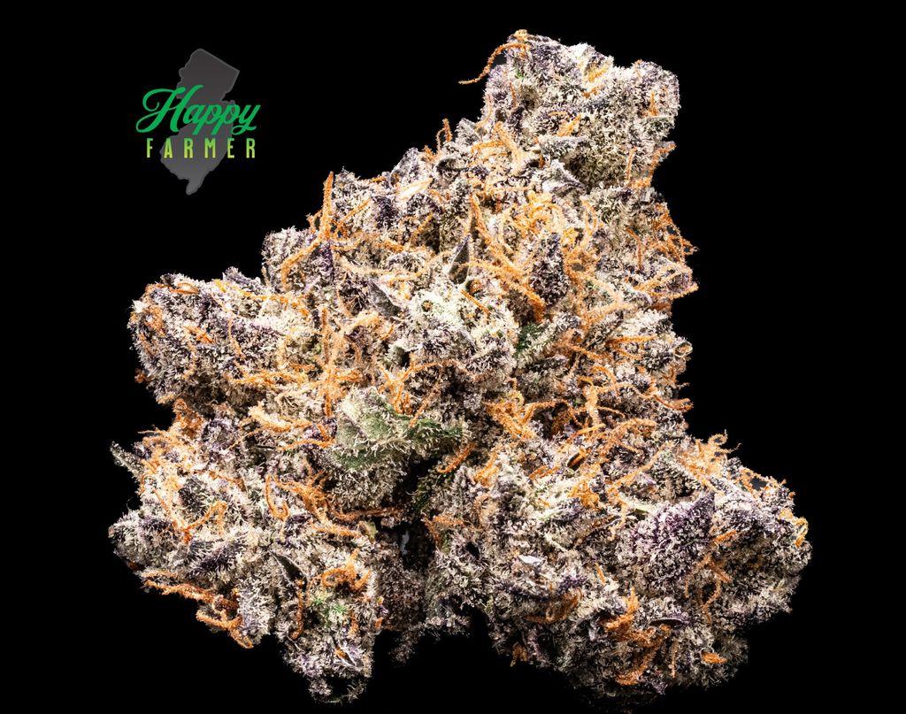 Buy Candied Garlic 3.5g Bud online - JoyLeaf Roselle | Roselle | New Jersey