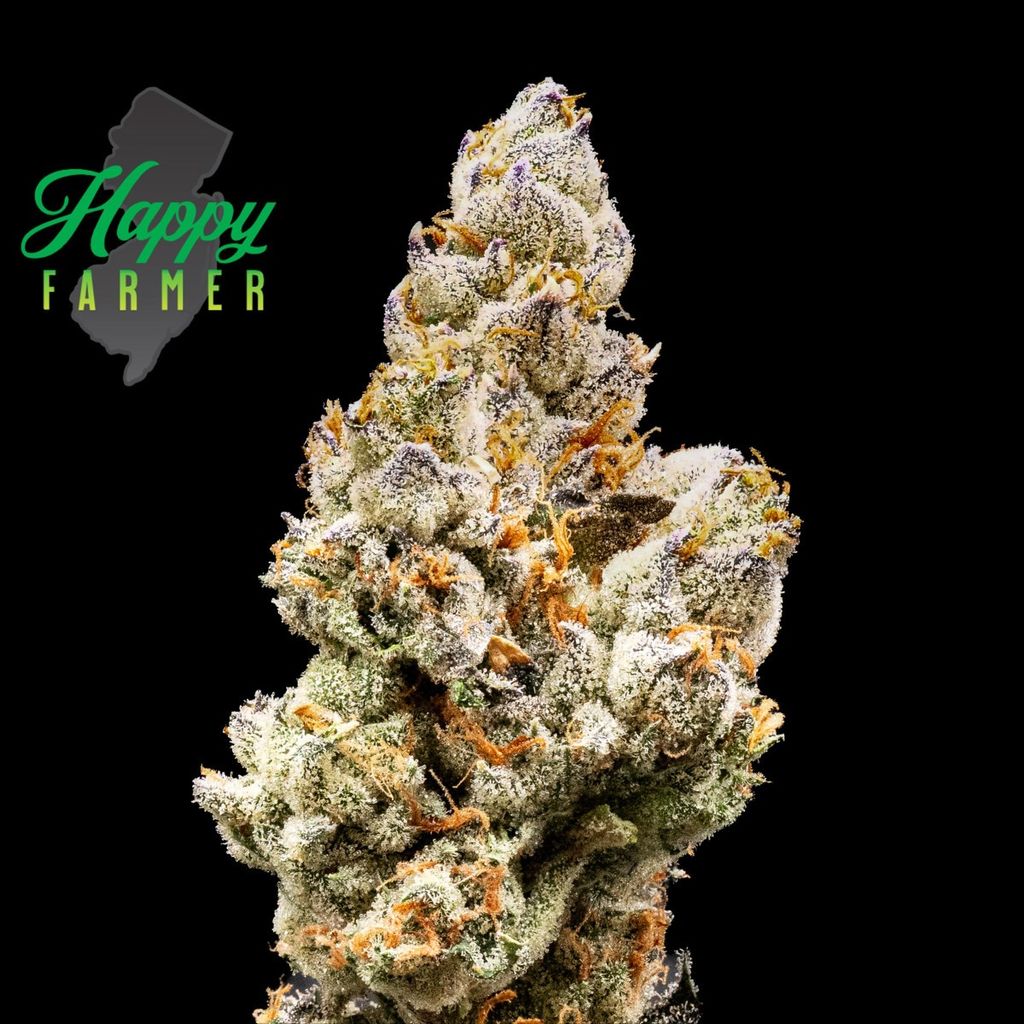 Buy Gunpowder Milkshake 7g Smalls online - JoyLeaf Roselle | Roselle ...