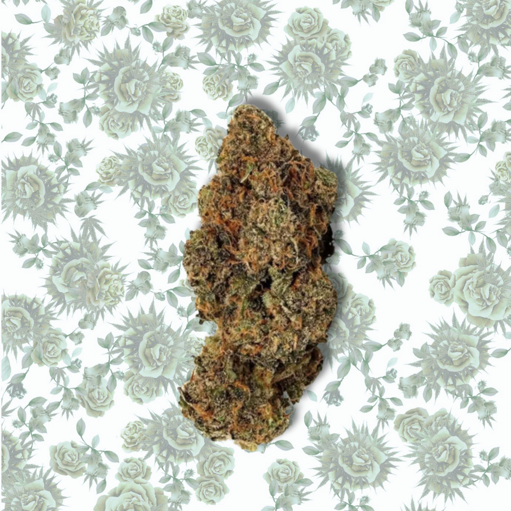 Buy Granddaddy Pluto [3.5g] online - Green Rose Harwood Heights ...