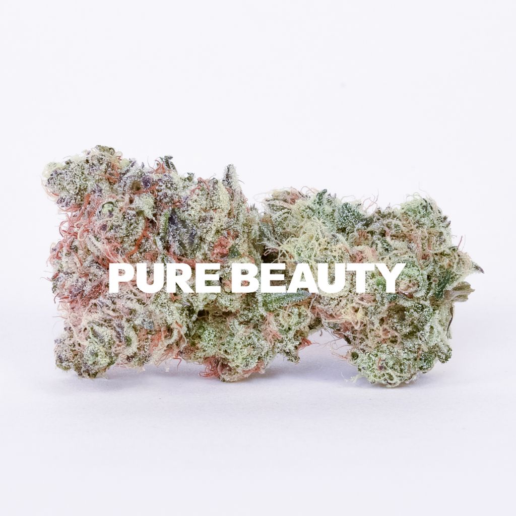 Buy Gizmo's Oasis 3.5g | 3.5g | Pure Beauty | Cannabis San Francisco