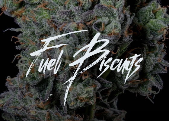 Buy Fuel Biscuits 14g Buds online - Cannabist Beckley | Beckley | West ...