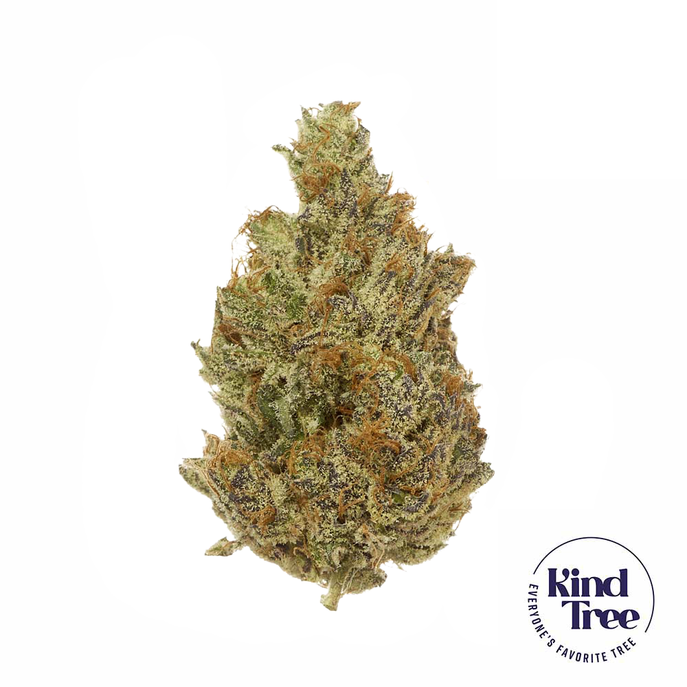 Buy Mr. Teeny 3.5g Buds | 3.5g | Kind Tree | Cannabis Cumberland