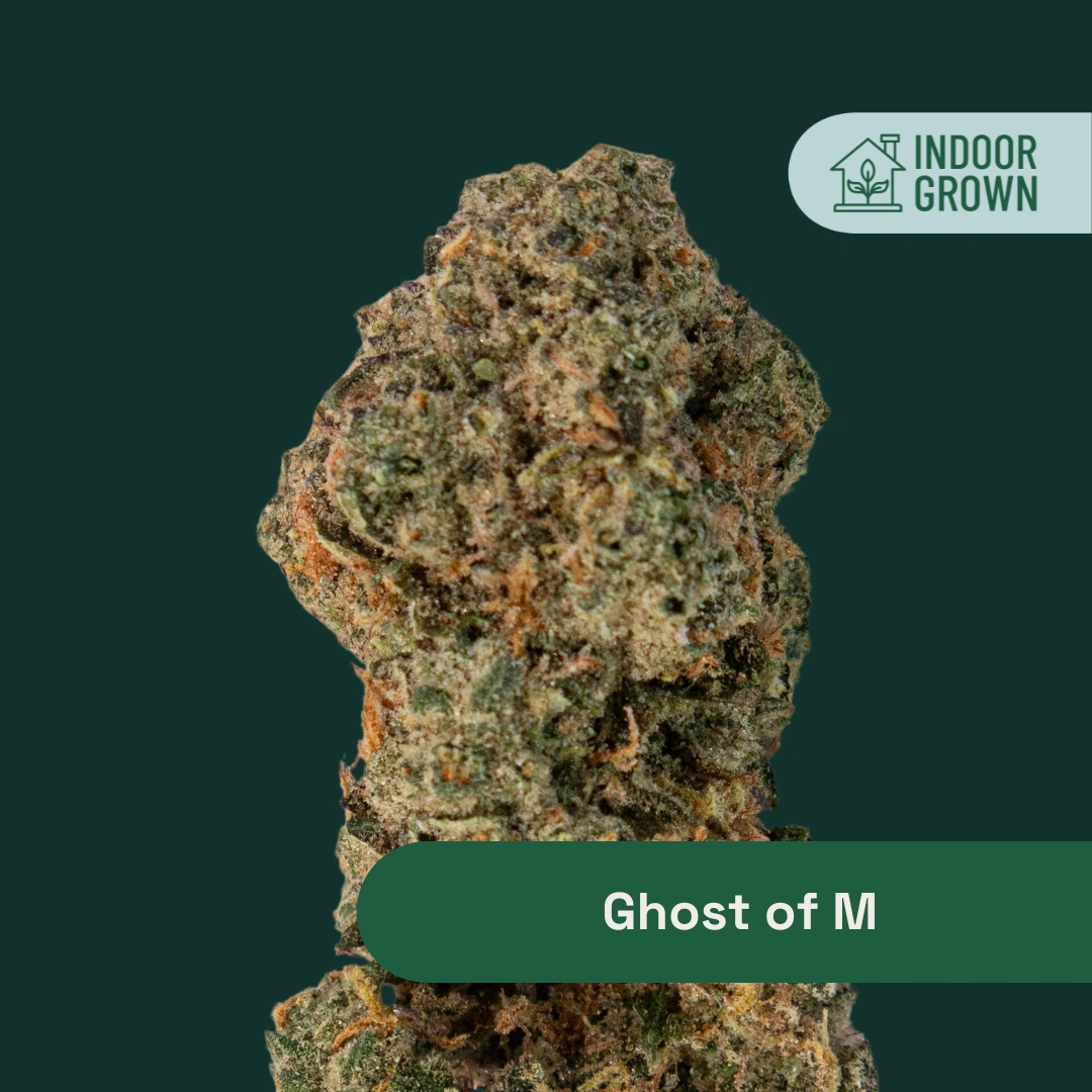 Buy Ghost of M 3.5g Buds | 3.5g | The Botanist | Cannabis Maplewood
