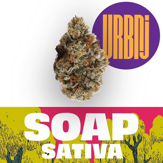 Buy Soap 2g Buds | 2g | URBNJ | Cannabis Maplewood