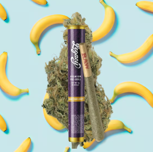 Buy Sweet Sweet 5 Pack | 2.5g Pre-Roll Pack online - Bisa Lina - Carol ...