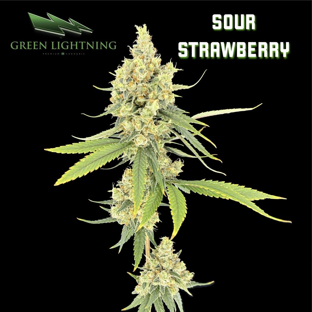 Buy Sour Strawberry | 3.5g Flower 3.5g online - Natural Apothecary ...