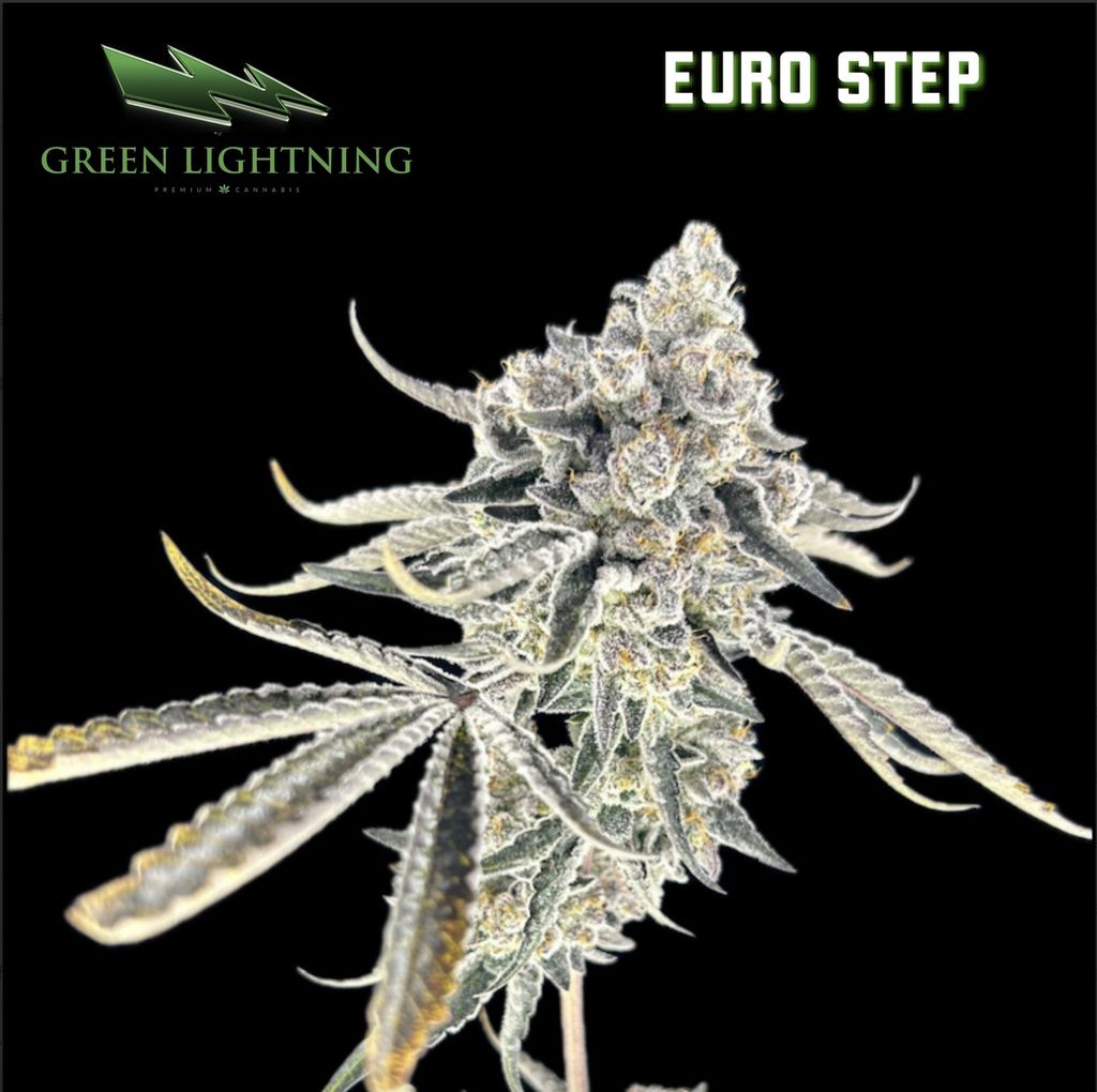 Buy Euro Step | 3.5g Flower 3.5g online - Natural Apothecary ...