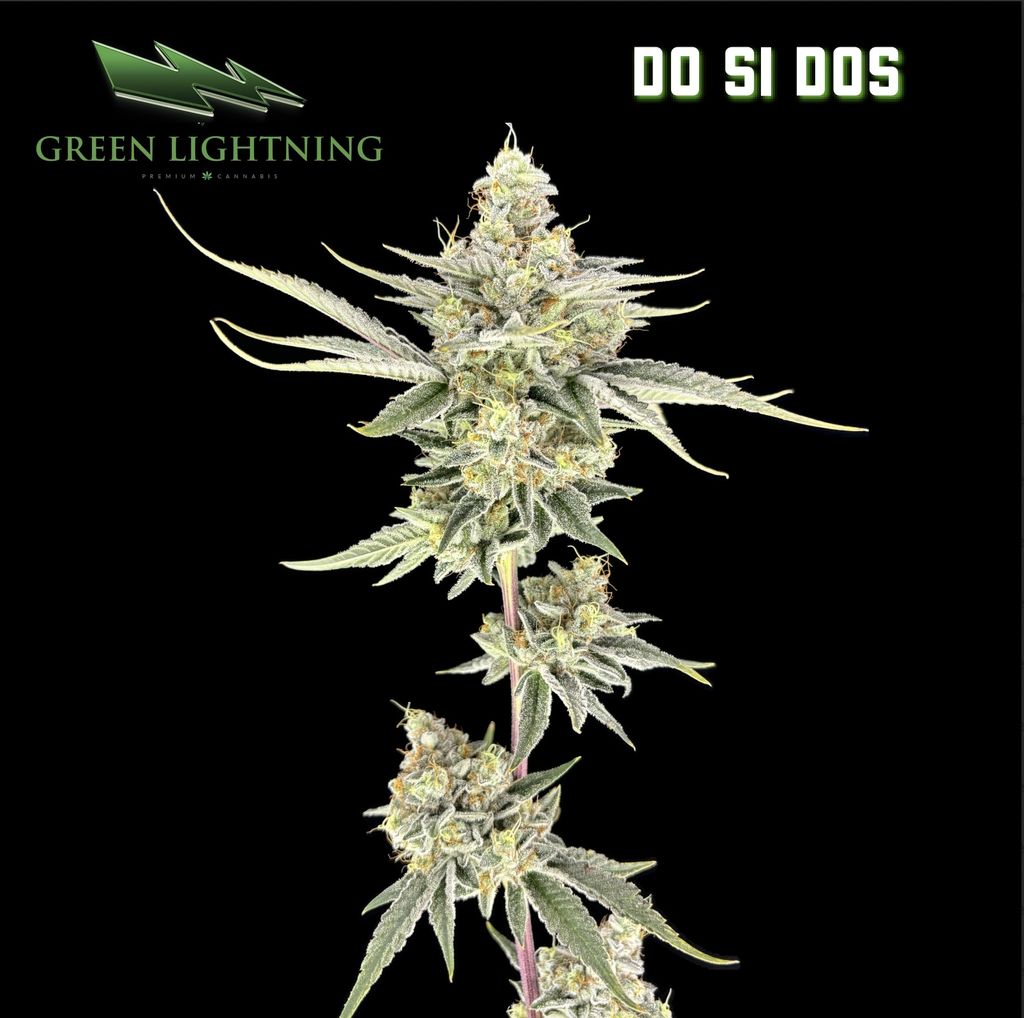 Buy Do Si Do | 3.5g Flower 3.5g online - Natural Apothecary ...