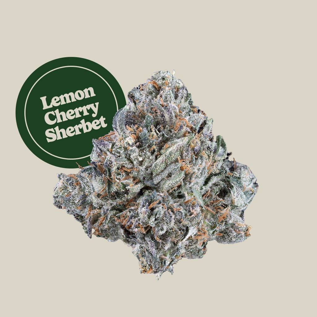 Buy Lemon Cherry Sherbert 3.5g Buds | 3.5g | Kind Tree | Cannabis Salisbury