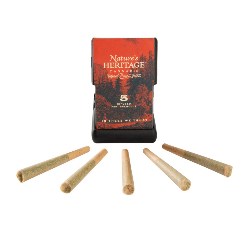 Buy Governmint Oasis 5pk / 2.5g Infused Joints | 5pk / 2.5g | Nature's ...