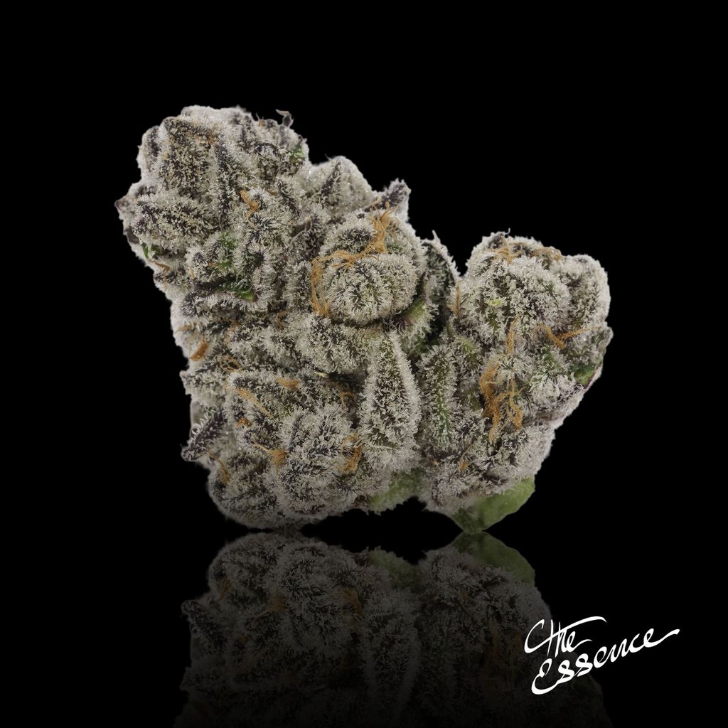(the) Essence Glitter Bomb Whole Flower, 7g in Hollywood, FL
